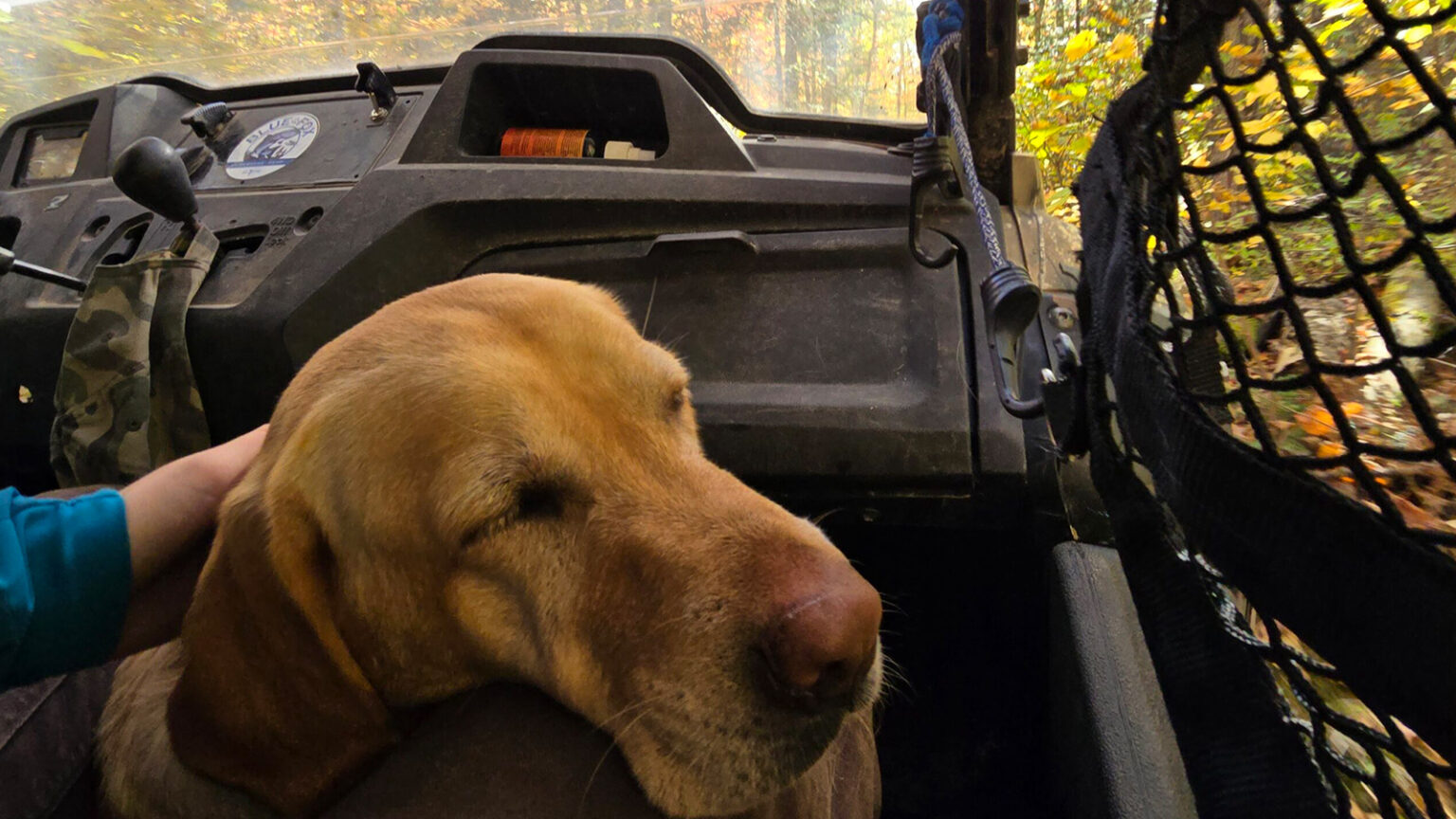 Getting Here - Blue Fox Camp